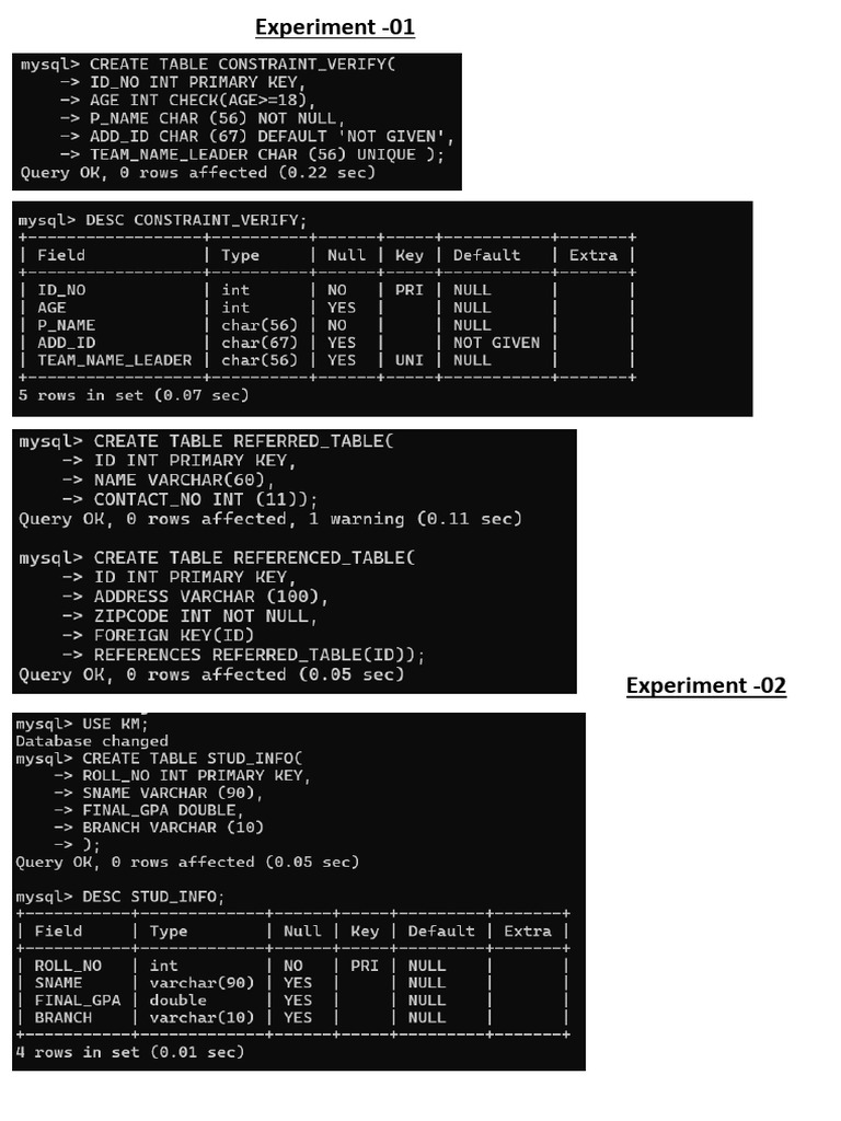 DBMS FILE OUTPUT | PDF