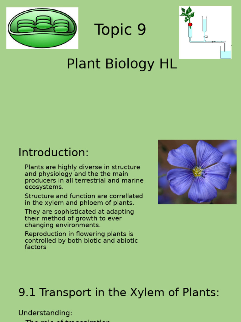 9.1 Transport in the Xylem (1) | PDF | Stoma | Leaf