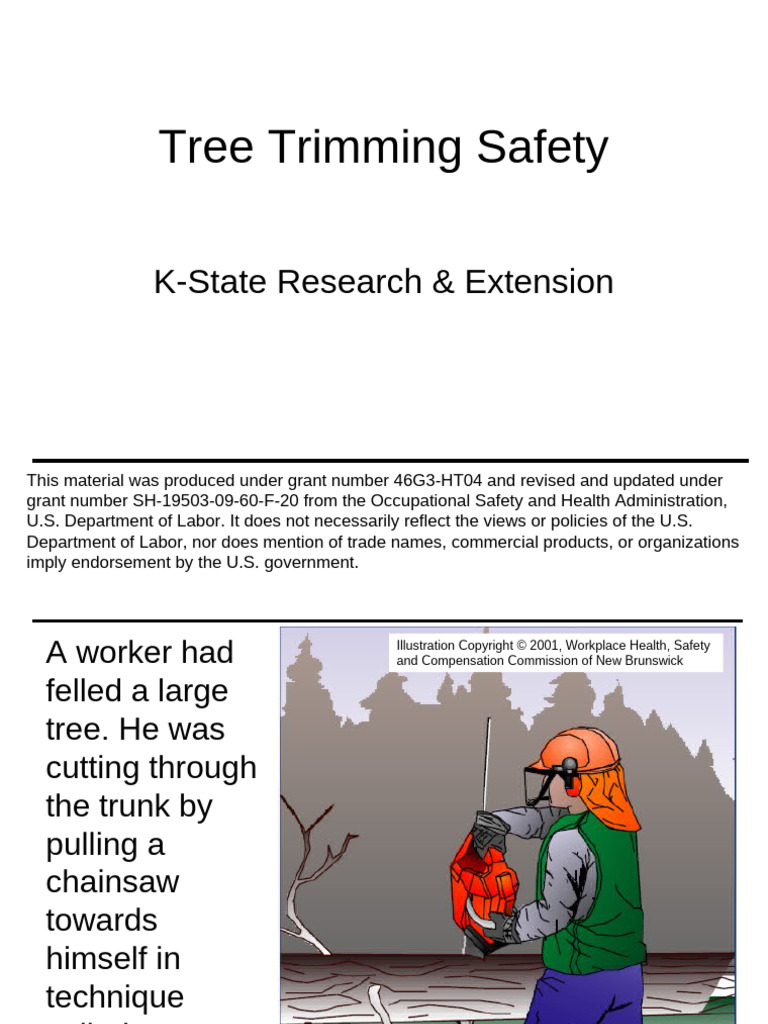 Tree Trimming Safety | PDF | Logging