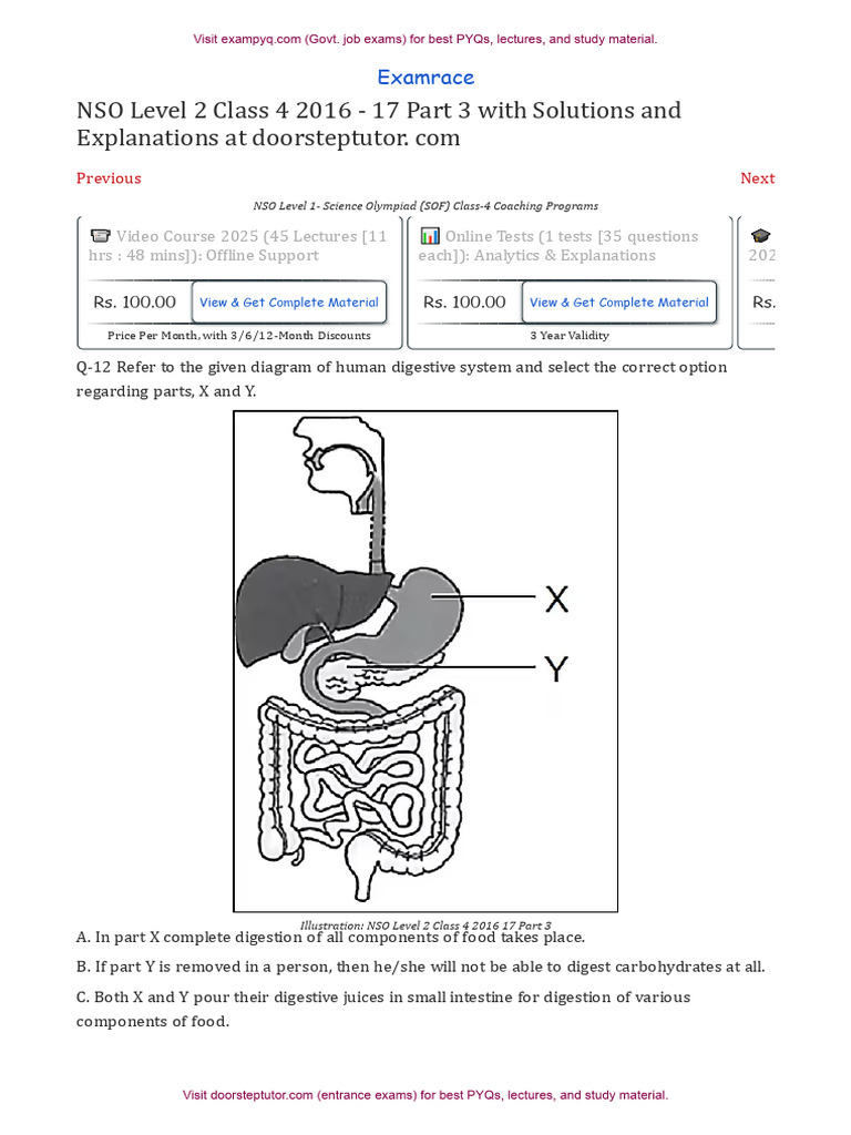 NSO Level 2 Class 4 2016 17 Part 3 | PDF | Digestion