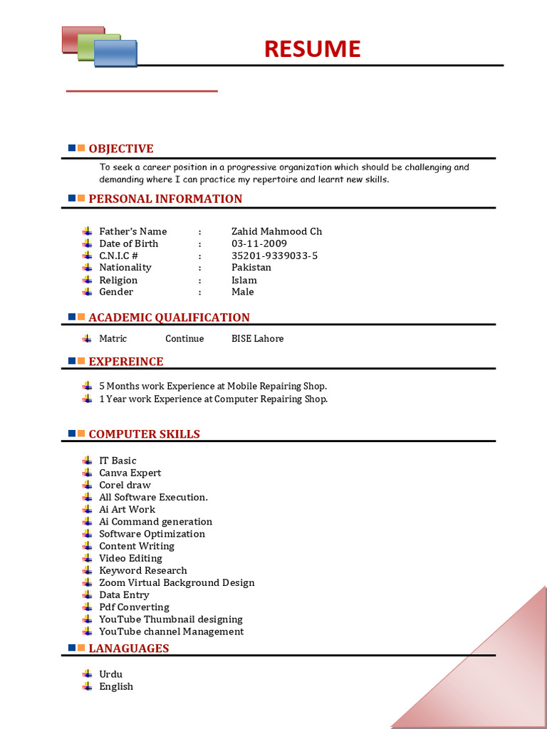 My Resume | PDF
