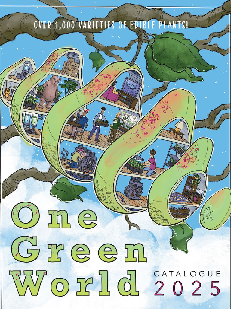 One World | PDF | Citrus | Orange (Fruit)