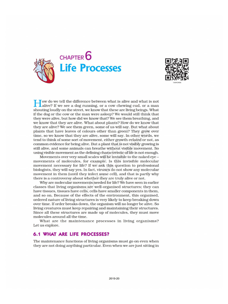 6. Life Processes | PDF