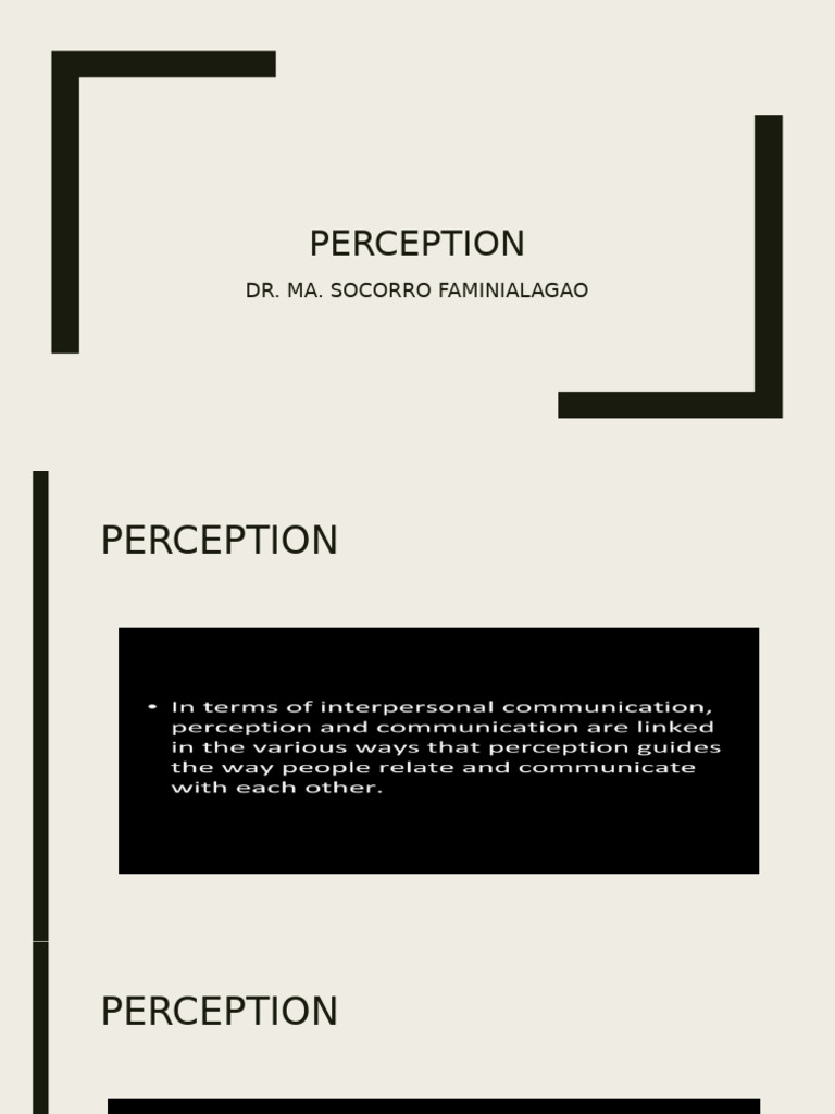 Perception 1B | PDF