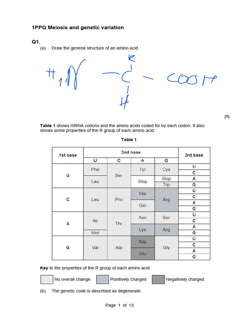 PPQ Meiosis and Genetic Variation | PDF | Meiosis | Chromosome