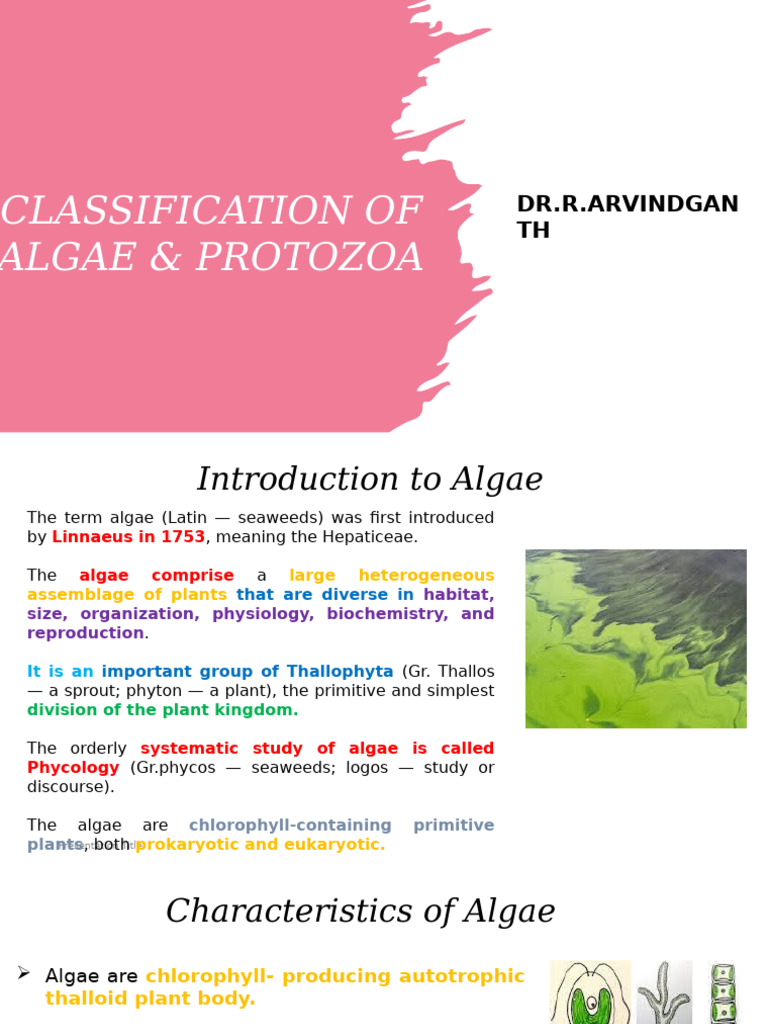 Classification of Algae and Protozoa | PDF | Protozoa | Algae