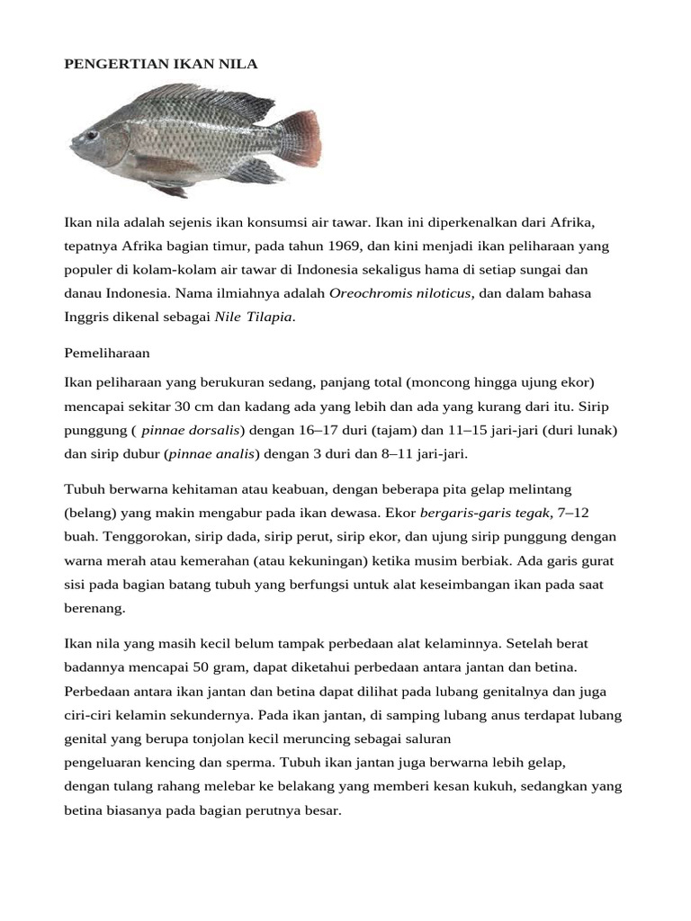 Analisis Ikan Nila | PDF