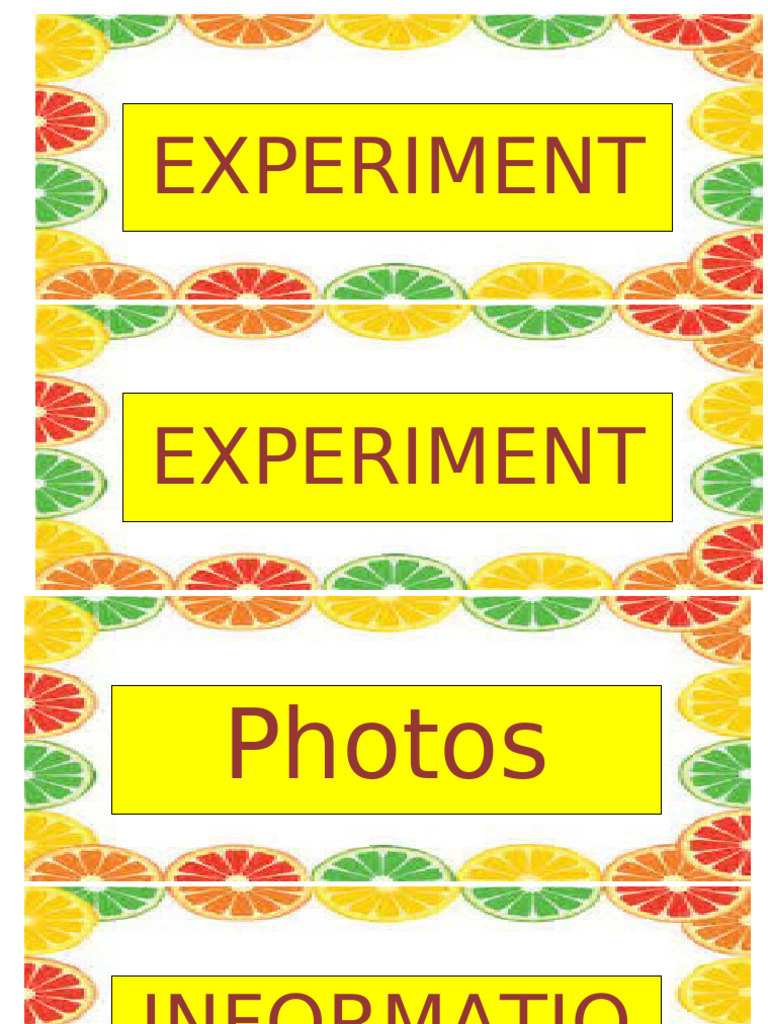 Border Science Fair | PDF