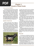 Indigenous Veld Goat Breeds in SA | PDF | Goat