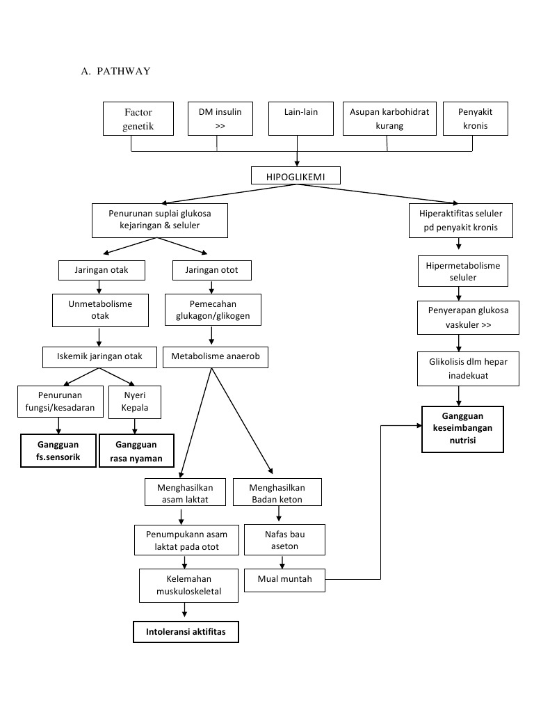 PATHWAY HIPOGLIKEMIA
