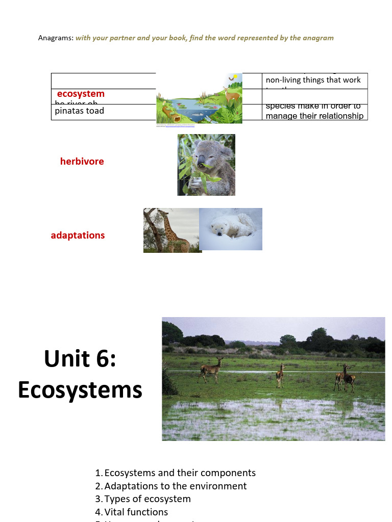Understanding Ecosystems and Relationships | PDF | Food Web | Ecosystem