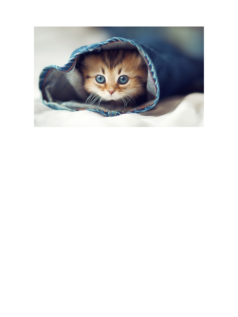 Blue Eyes | PDF