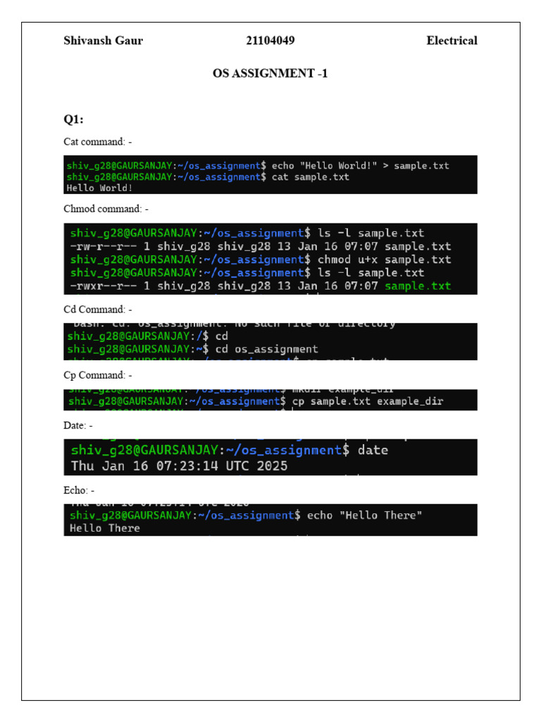 Essential Linux Commands and Exercises | PDF