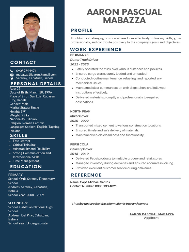 Aaron Mabazza's Professional Profile | PDF