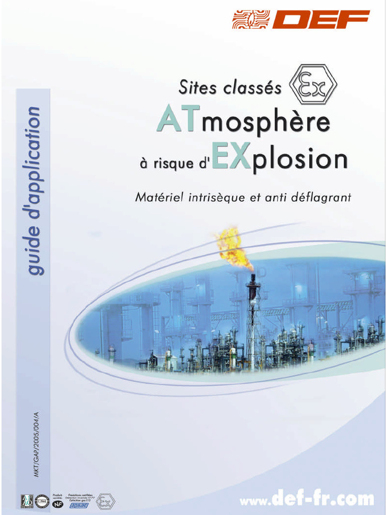 DEF - Doc Intriseque | PDF