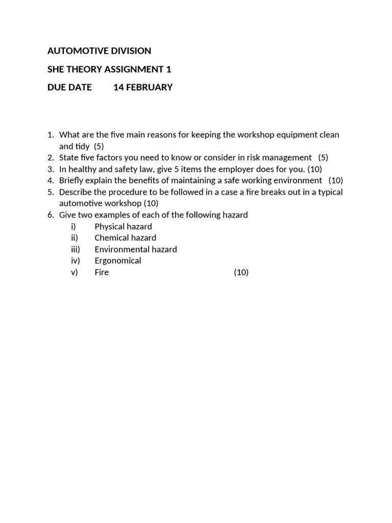 She Theory Assignment 1 2025 | PDF