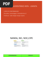Modelo Nanda Nic Noc | PDF | Enfermagem