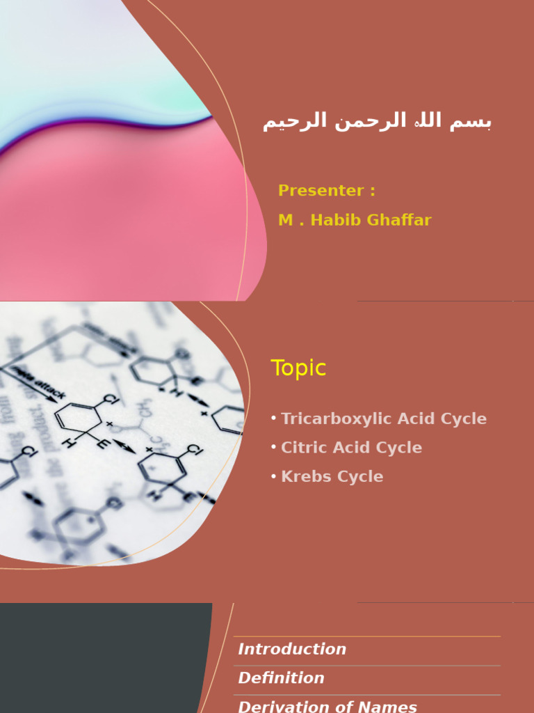 Krebs Cycle Roll No 13 | PDF | Diet & Nutrition | Chemistry