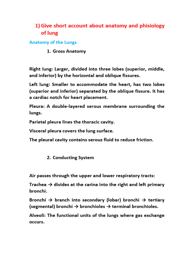 Lung Anatomy, Physiology, and Failure Types | PDF | Lung | Respiratory ...