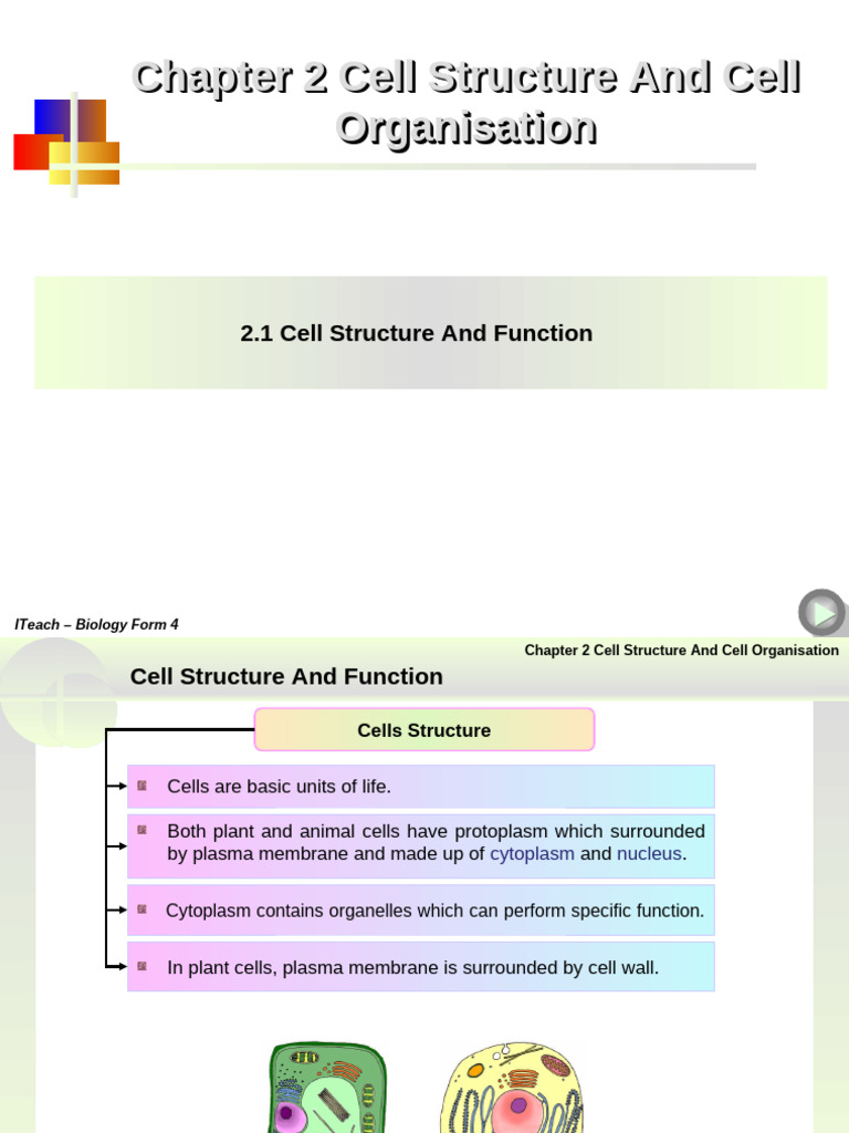 Chapter 2 Cell Structure and Cell Organisation | PDF | Vacuole | Endoplasmic Reticulum