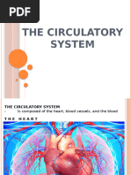 Human Heart Anatomy Overview | PDF | Heart | Heart Valve