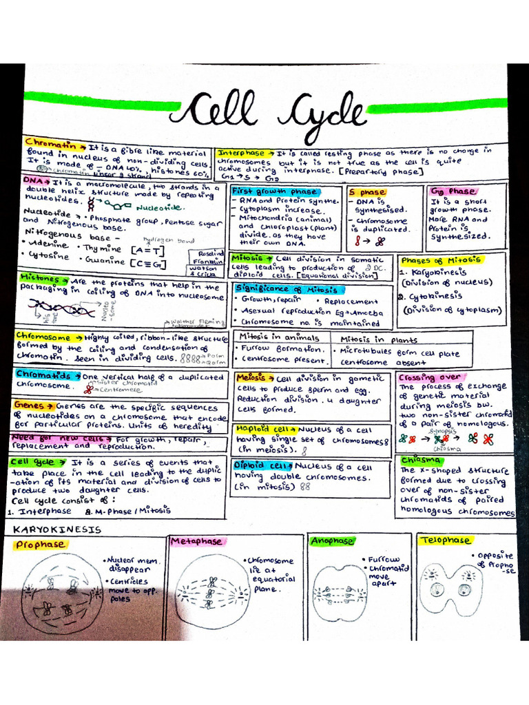 Biology ch-1 Short Notes | PDF