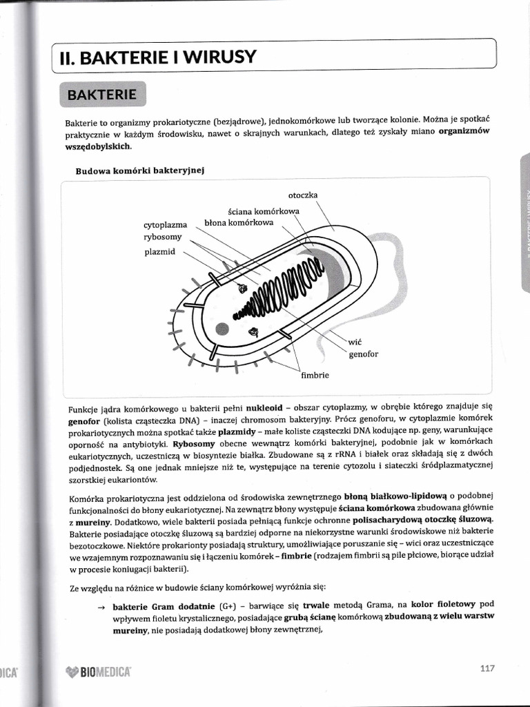 II. Bakterie I Wirusy | PDF