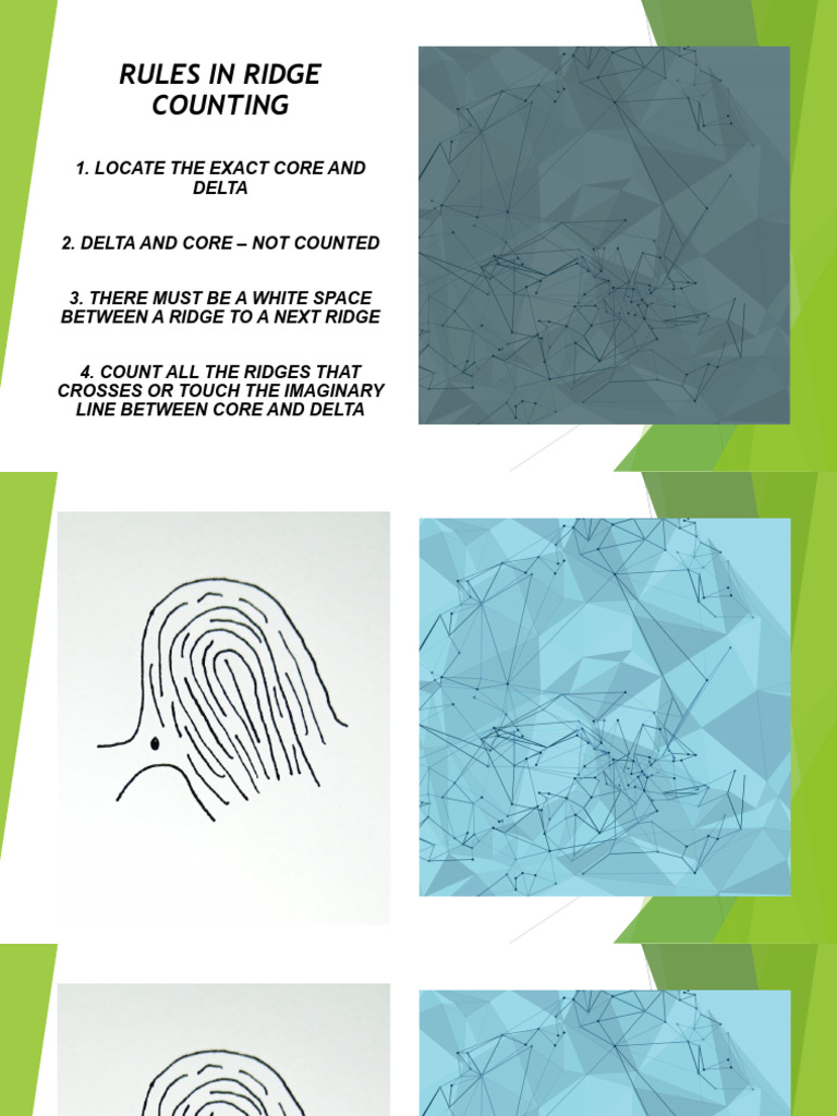 Ridge Counting Ridge Tracing | PDF