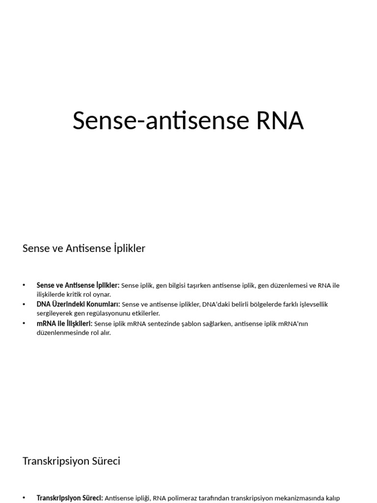 Antisense RNA | PDF