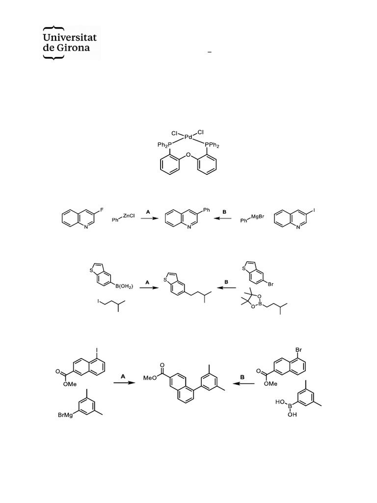 Problem Set A1 C-C Coupling | PDF | Catalysis | Chemical Reactions