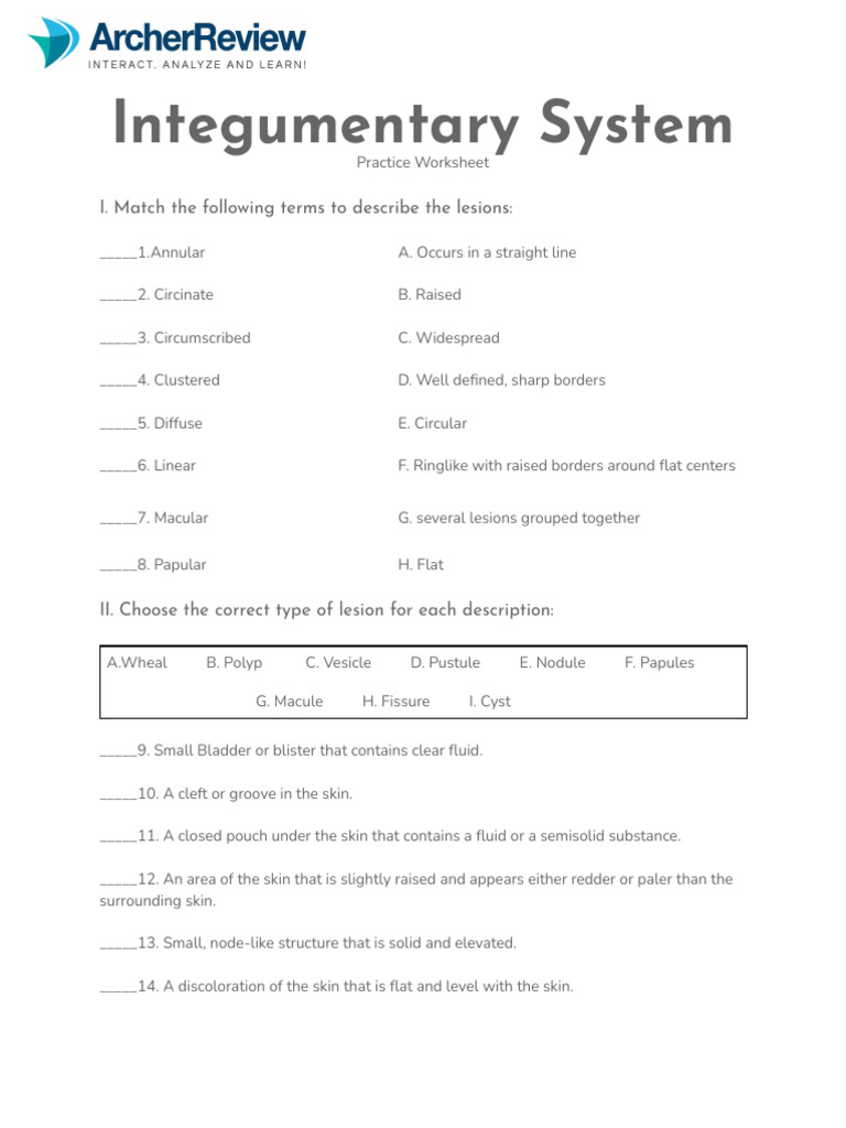 Integumentary System Burns Overview | PDF | Skin | Dermatology