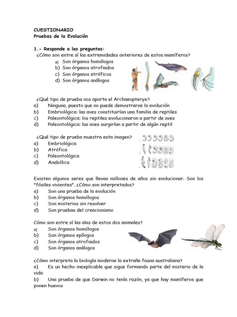 Pruebas de Evolución y Biogeografía | PDF | Evolución | Organismos