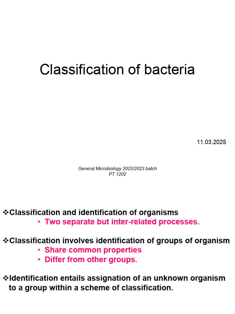 Bacterial Classification and Identification Guide | PDF | Gram Positive ...