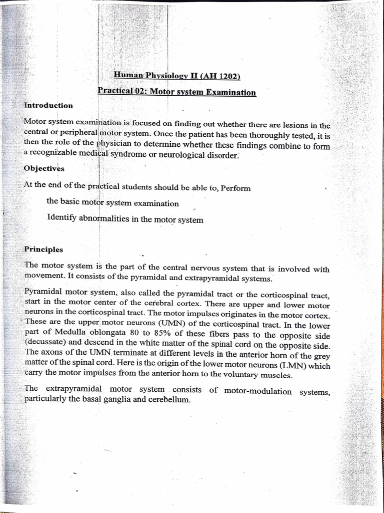 2.motor System Examination | PDF | Motor Neuron | Neuroanatomy