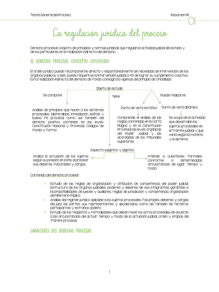 Resumen M1 Teoría General Del Proceso | PDF | Ley procesal | Debido al proceso