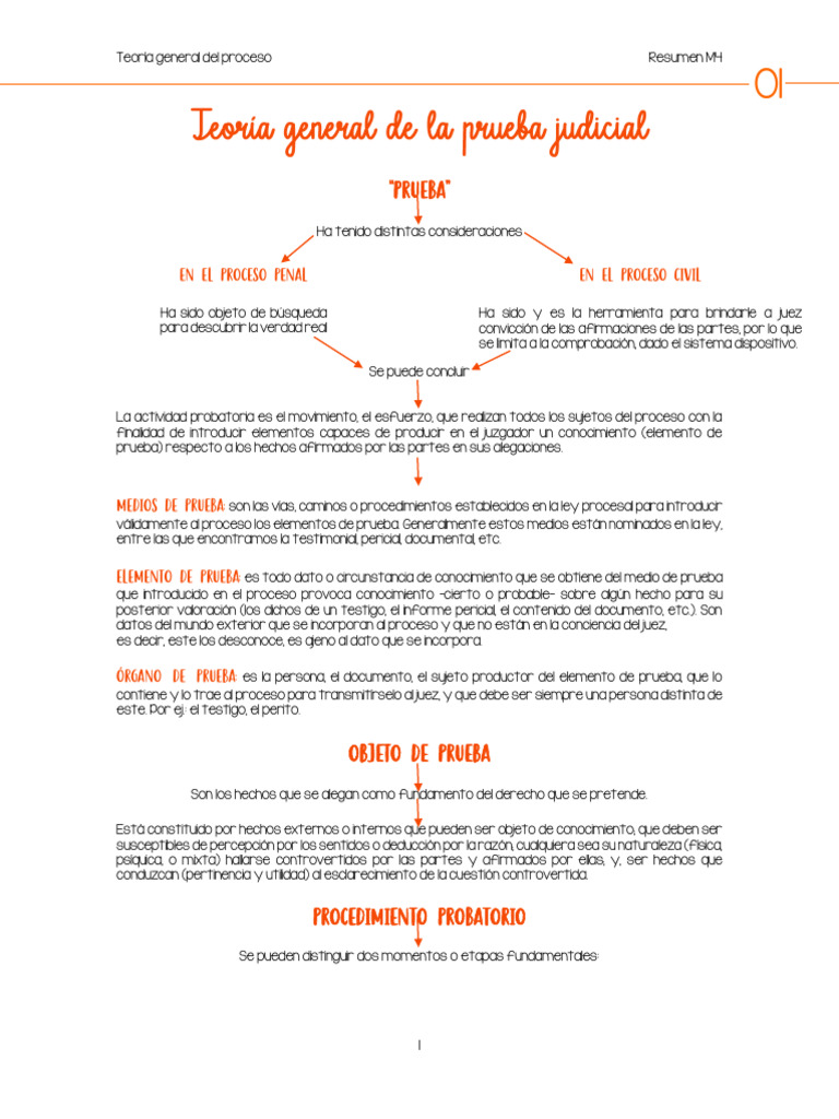 Resumen M4 - Teoría General Del Proceso | PDF | Evidencia (ley) | Ley procesal