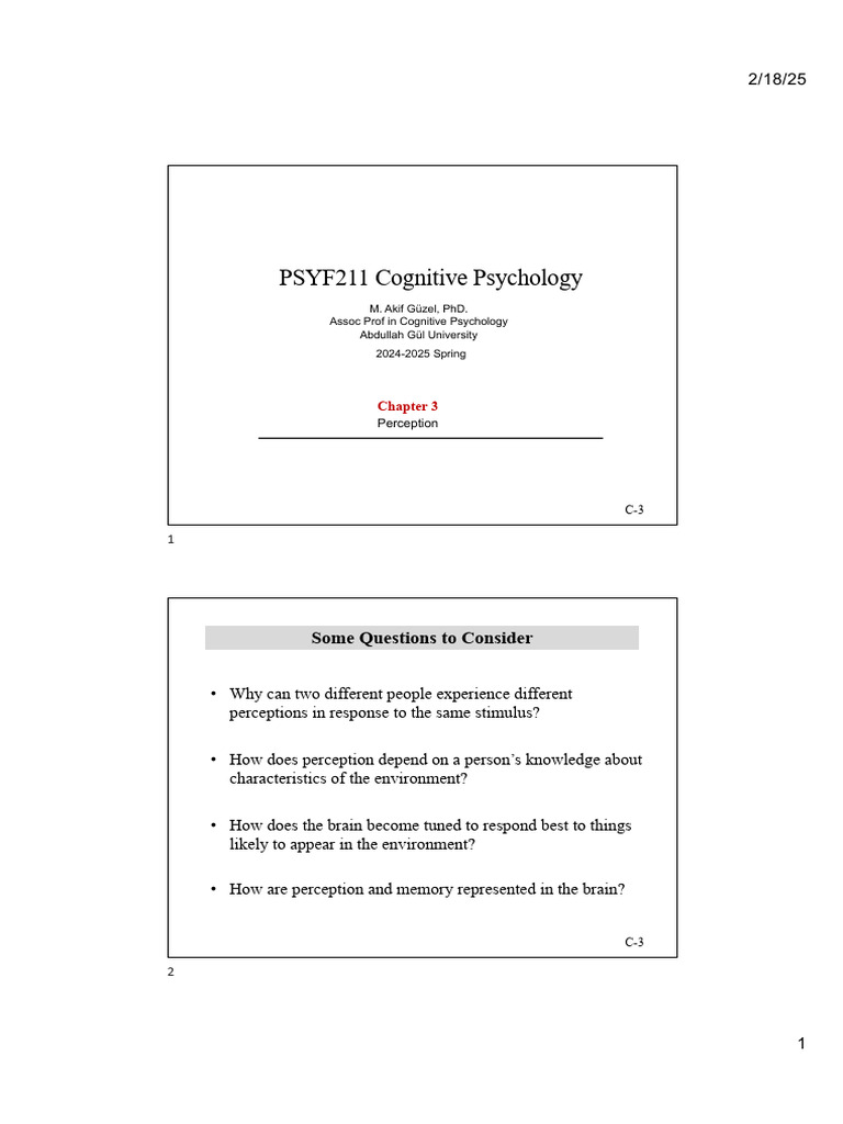 Handout - 3 - CHPTR 3 - PSYF211 - Perception | PDF | Perception | Psychology