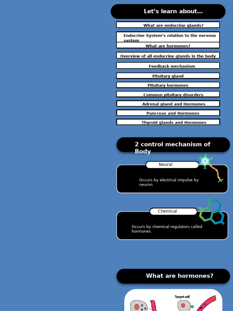Understanding Endocrine Glands and Hormones | PDF | Endocrine System ...