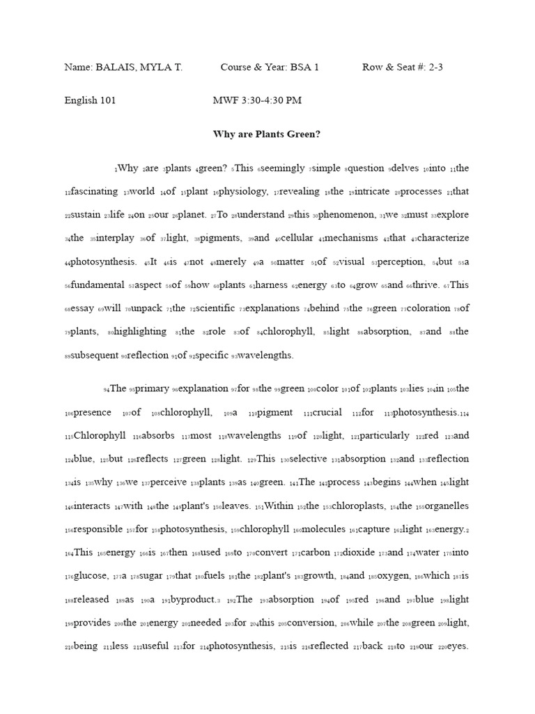 Explanation Essay For ENG 101 | PDF