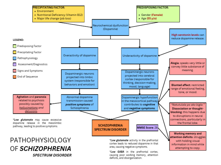 Pathophysiology - Schizophrenia | PDF | Schizophrenia | Dopamine