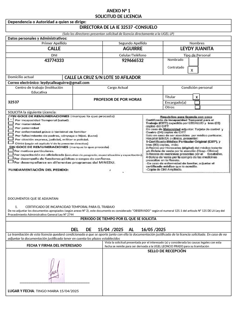 Solicitud Consuelo | PDF