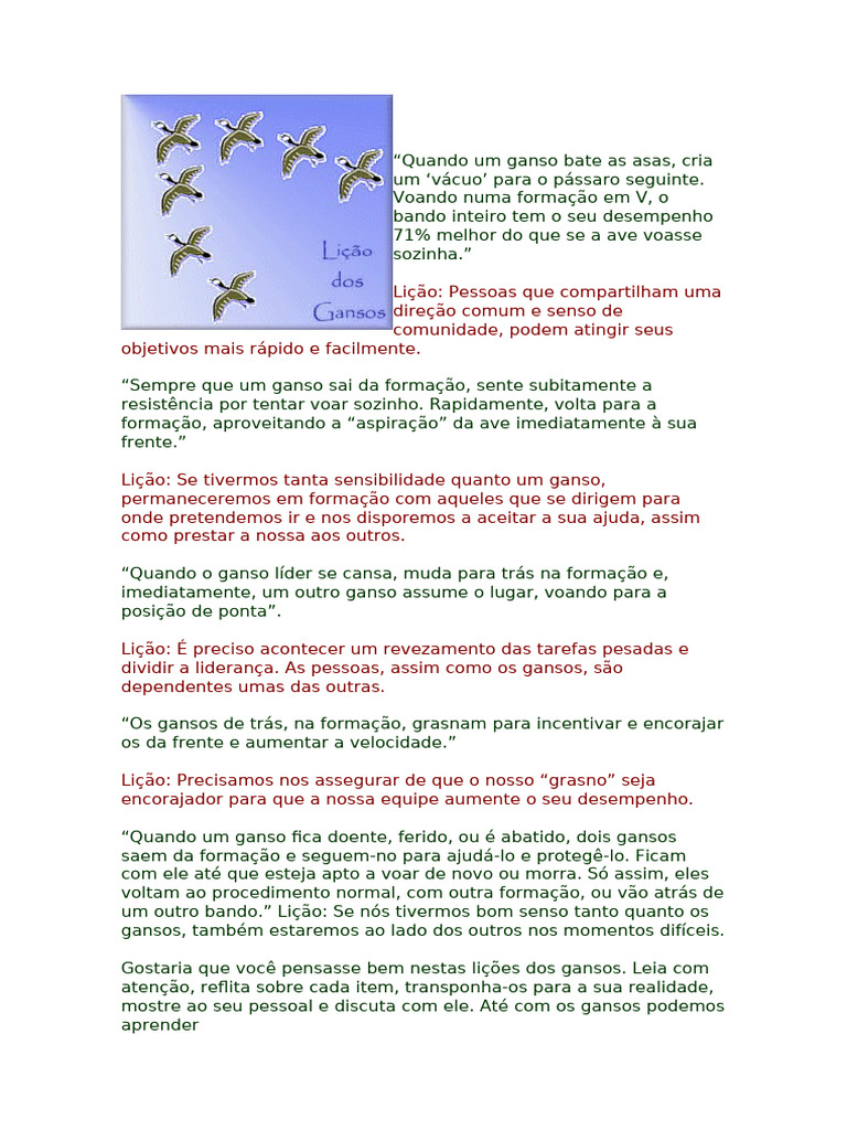 lição dos gansos | PDF