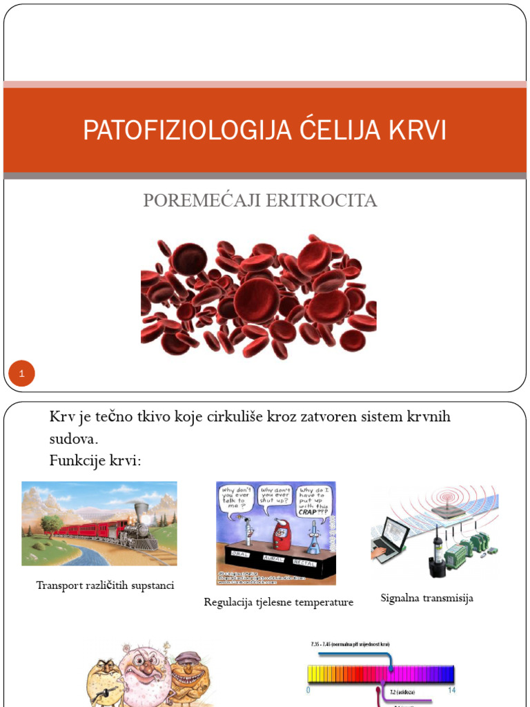 Patofiziologija Celija Krvi | PDF