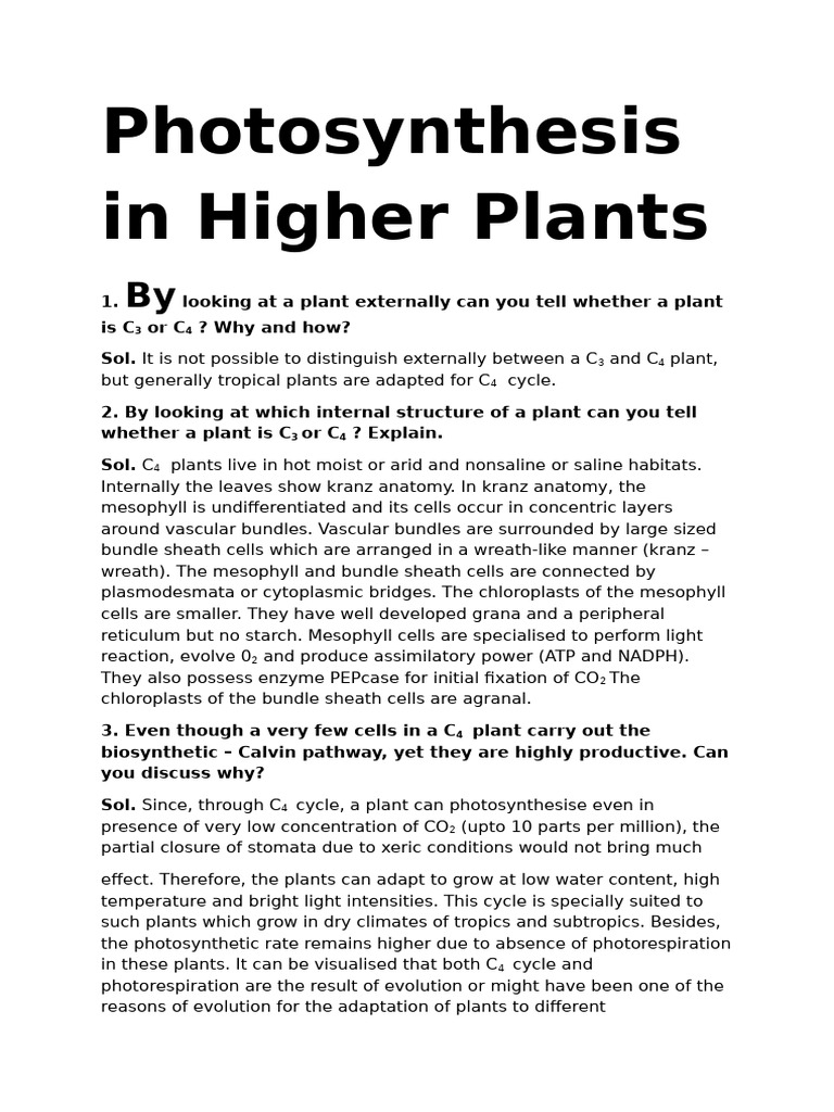 Photosynthesis in Higher Plants Explained | PDF | Photosynthesis ...