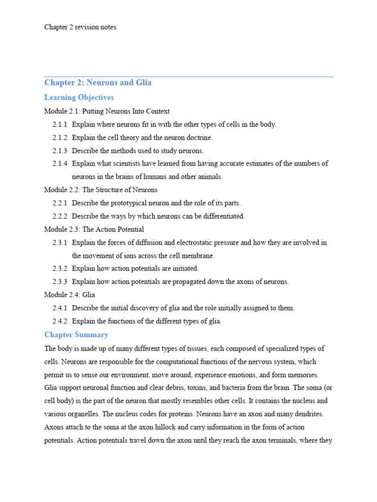 Neurons and Glia: Key Concepts Explained | PDF | Neuron | Action Potential