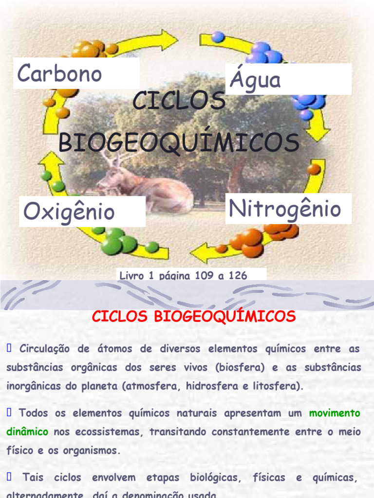 AULA.B2.003 - Ciclos Biogeoqu-Micos | PDF | Água | Nitrogênio
