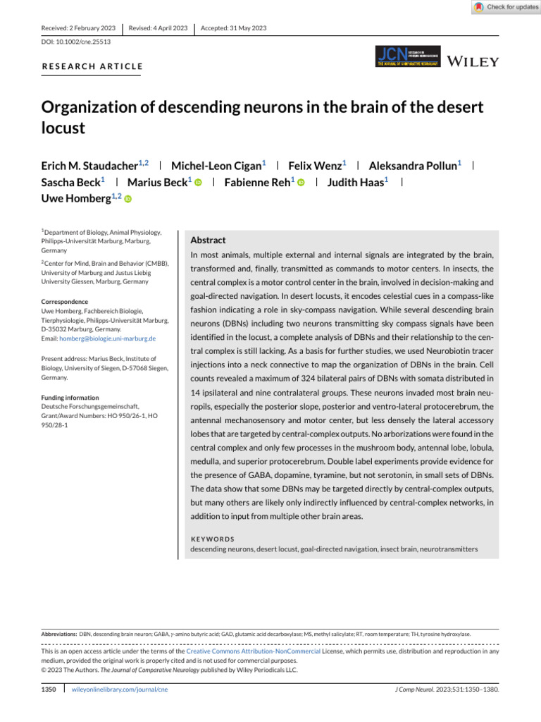 Descending Neurons in Desert Locust Brain | PDF | Brain | Nerve