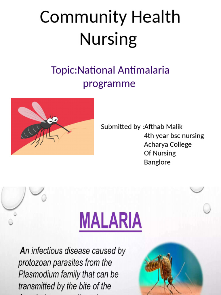National Antimalaria Program Overview | PDF