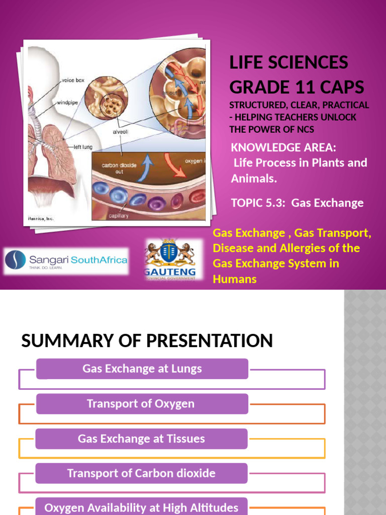 PP22. Human Exchange System | PDF | Tuberculosis | Lung