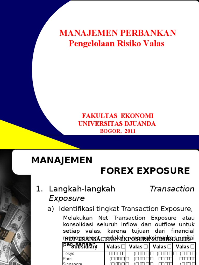 11 MNJ Perbankan Pengelolaan Risiko Valas | PDF | Bisnis